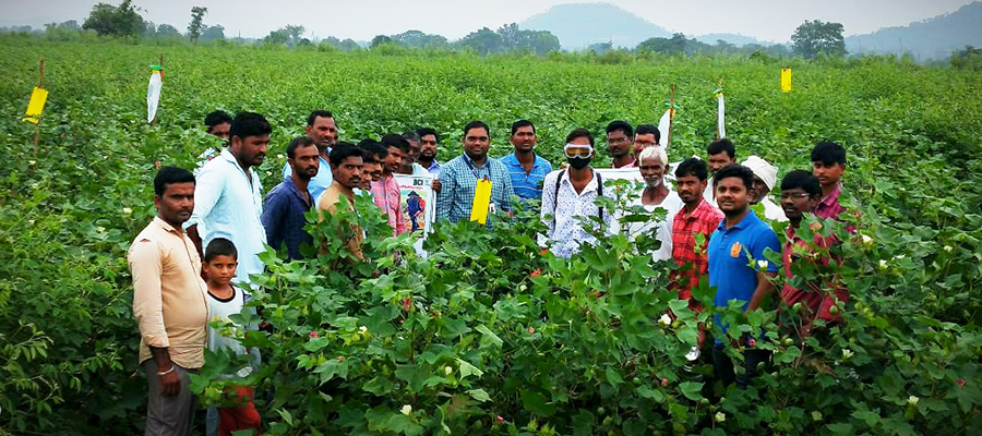 Better Cotton Initiative IDH The Sustainable Trade Initiative